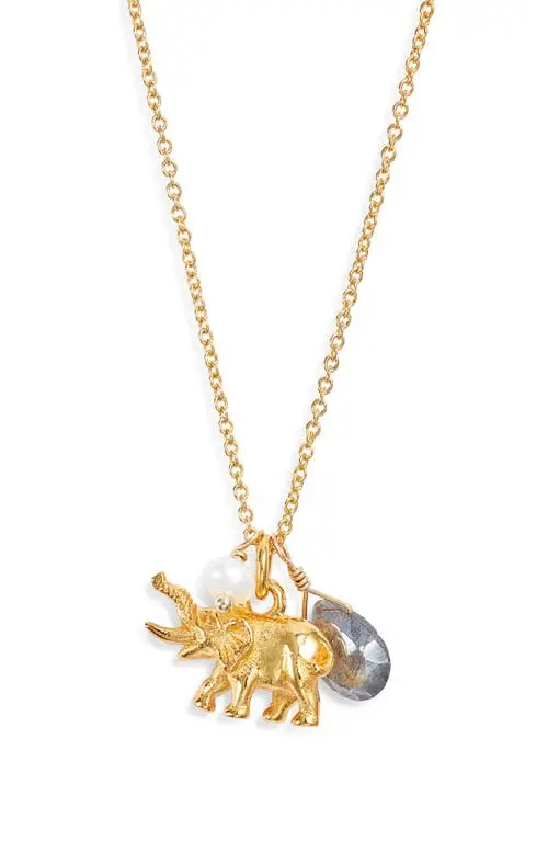 KIARA BY KI-ELE Ellie Labradorite Charm Necklace - Gold