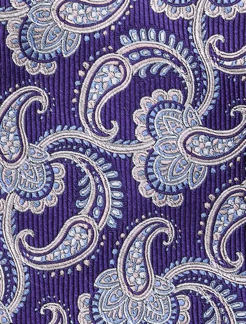 OAK HILL PREMIUM BY DXL Paisley Vines Neck Tie - Purple