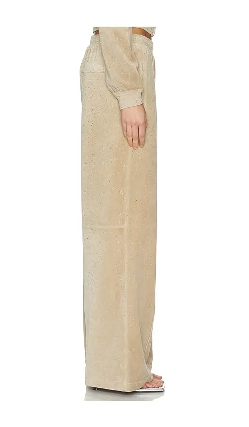 Alexander Wang Allover Hotfix Relaxed Pant