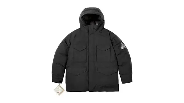 PALACE Gore-tex Windstopper Down Parka