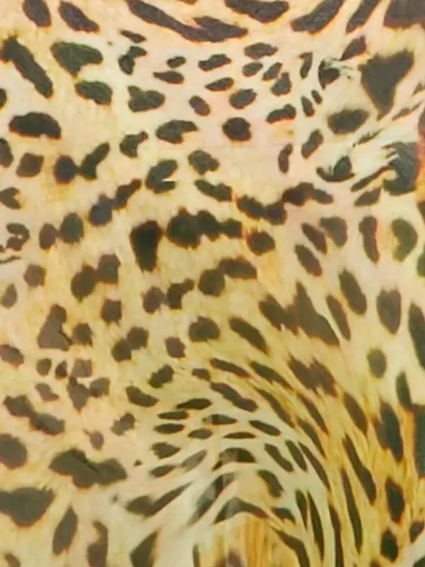 RAT & BOA Akima Animal-print Maxi Dress