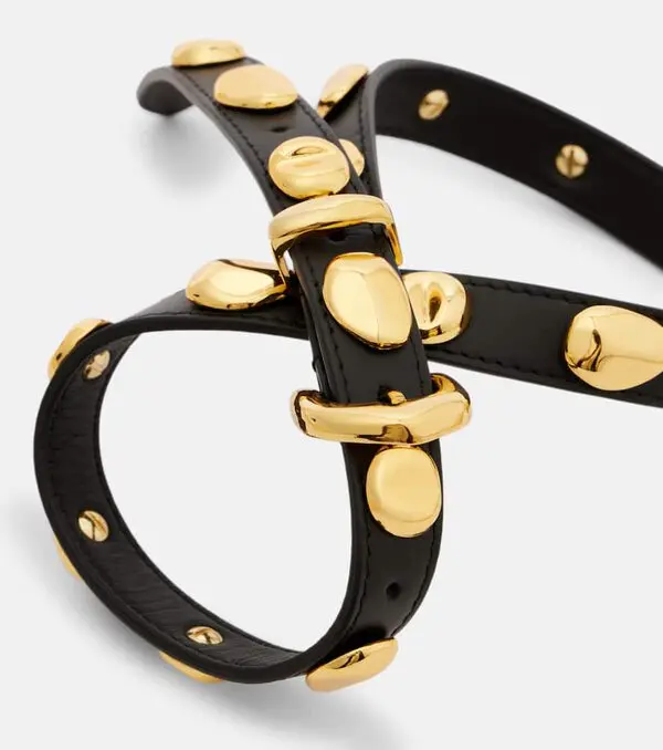 AMANU Vaal Embellished Leather Belt - Black