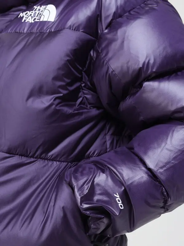 The North Face Puffer Jacket With Hood