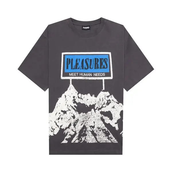 PLEASURES Human Needs Heavyweight Shirt - Grey