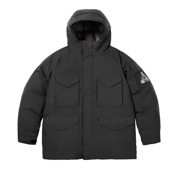 PALACE Gore-tex Windstopper Down Parka