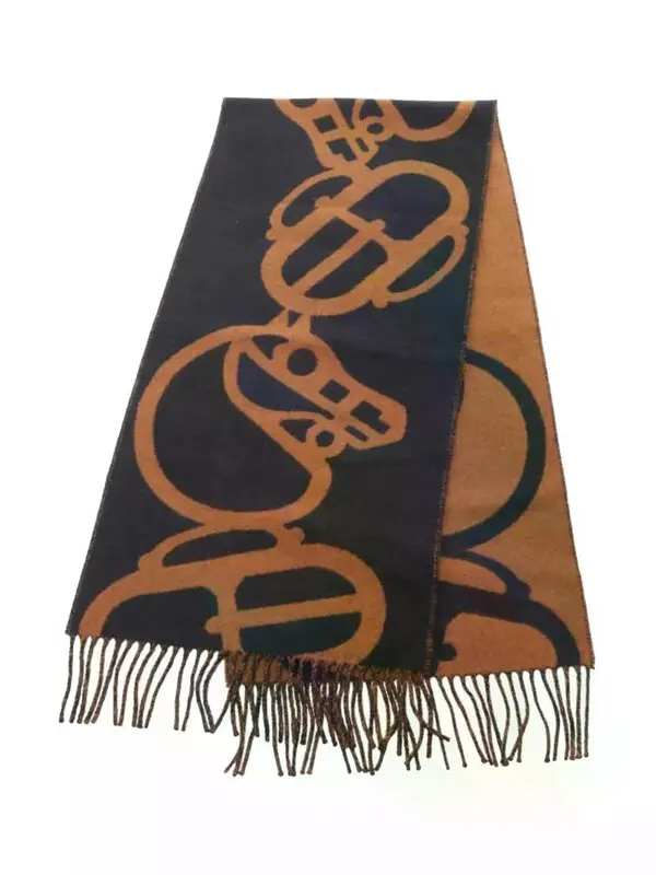 Hermès 2010s Boucles Et Camails Fringed Scarf - Black