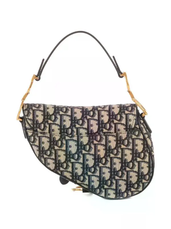 Dior Saddle Bag In Oblique Canvas - Neutrals