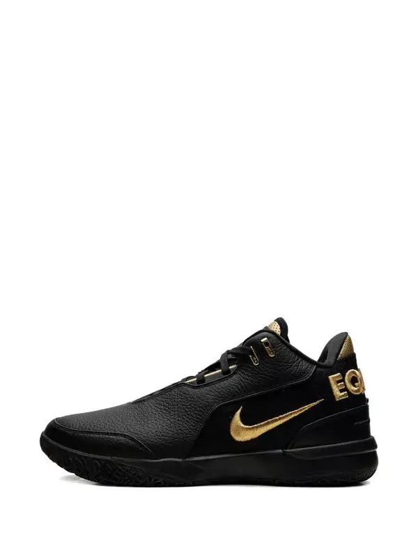 Nike Zoom Lebron Nxxt Gen Equity Sneakers