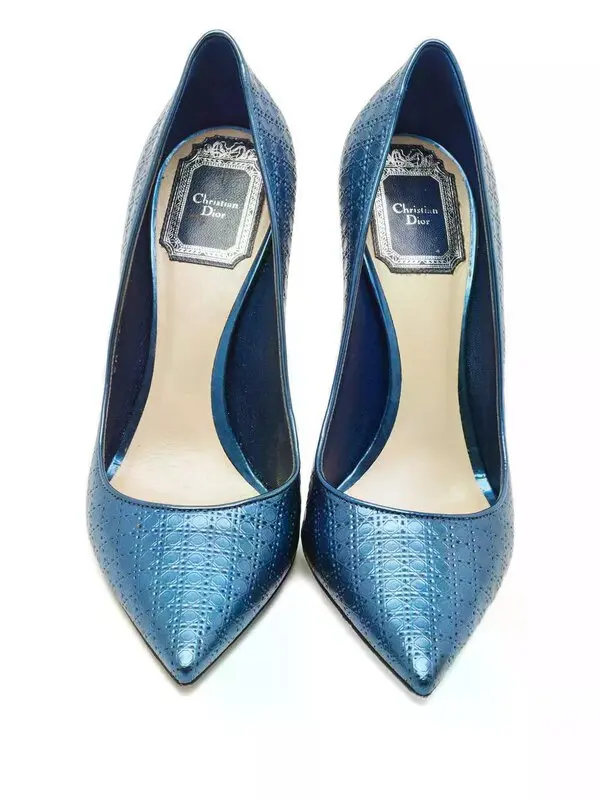 Dior Pointed Stiletto Pumps