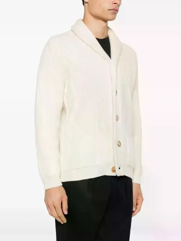 Fedeli Terminillo Cashmere Cardigan - White