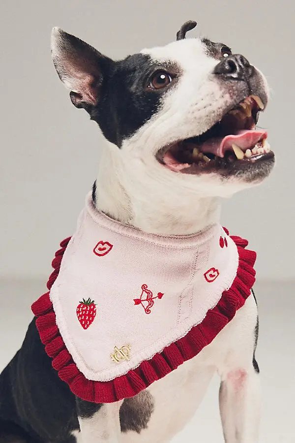 THE DELUXE PUP Valente's Day Pet Bandana - Vday Motif