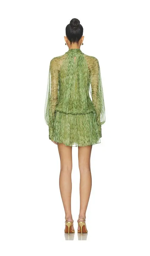 Alexis Hailey Dress