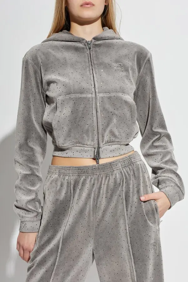 Alexander Wang Sweatshirt With Shimmering Crystals - Grey