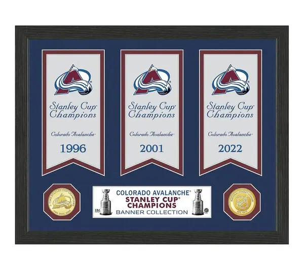 HIGHLAND MINT Nhl Stanley Cup Champions Banner Rame - One-color
