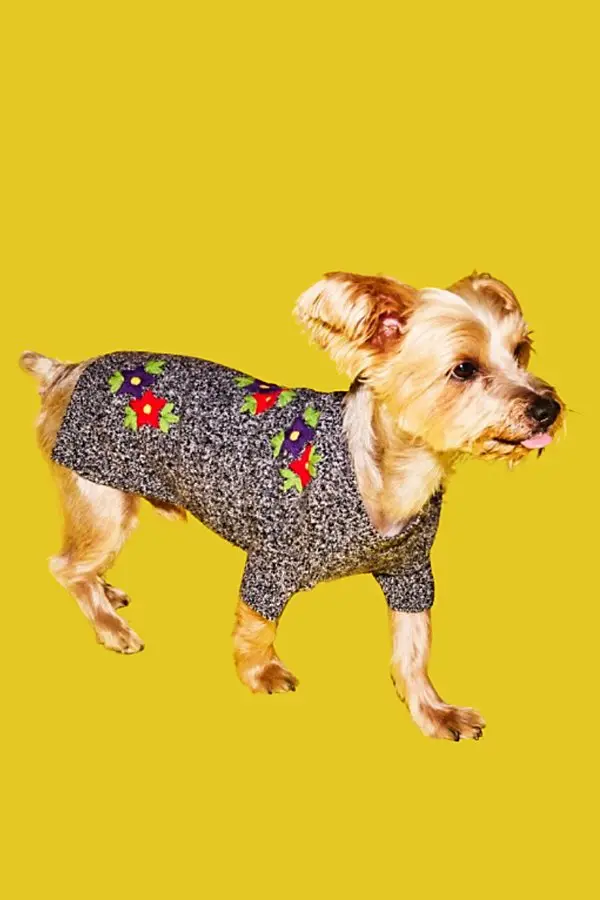 WARE OF THE DOG Embroidered Flower Merino Wool Sweater - Multicolor