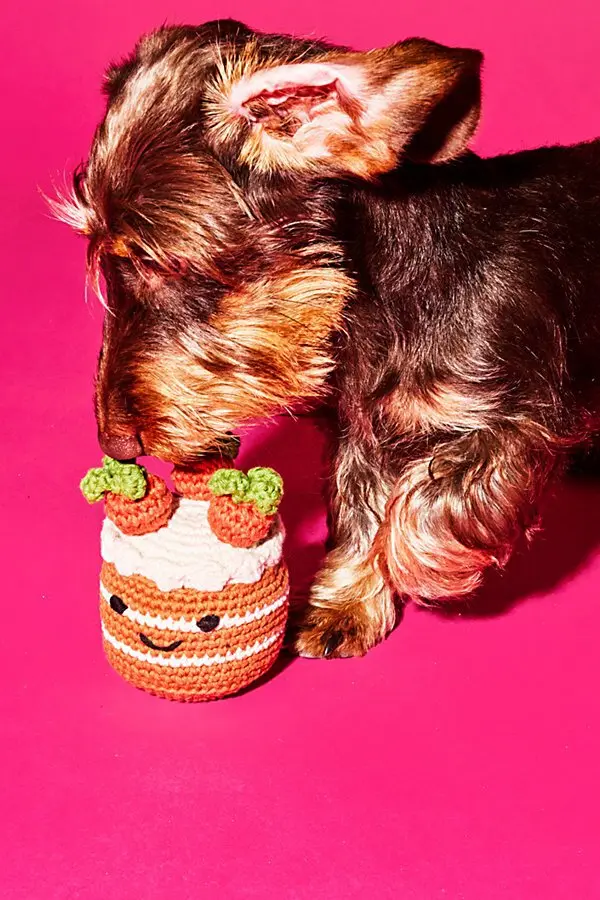 WARE OF THE DOG Hand Crochet Carrot Cake