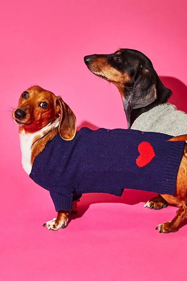 WARE OF THE DOG Heart Cardigan - Navy