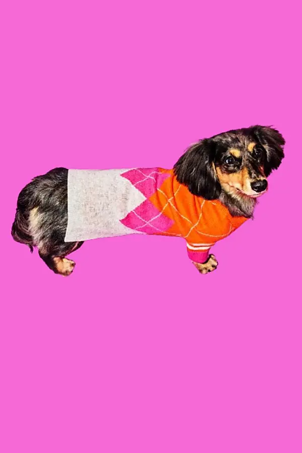 WARE OF THE DOG Argyle Pattern Dog Sweater - Multicolor