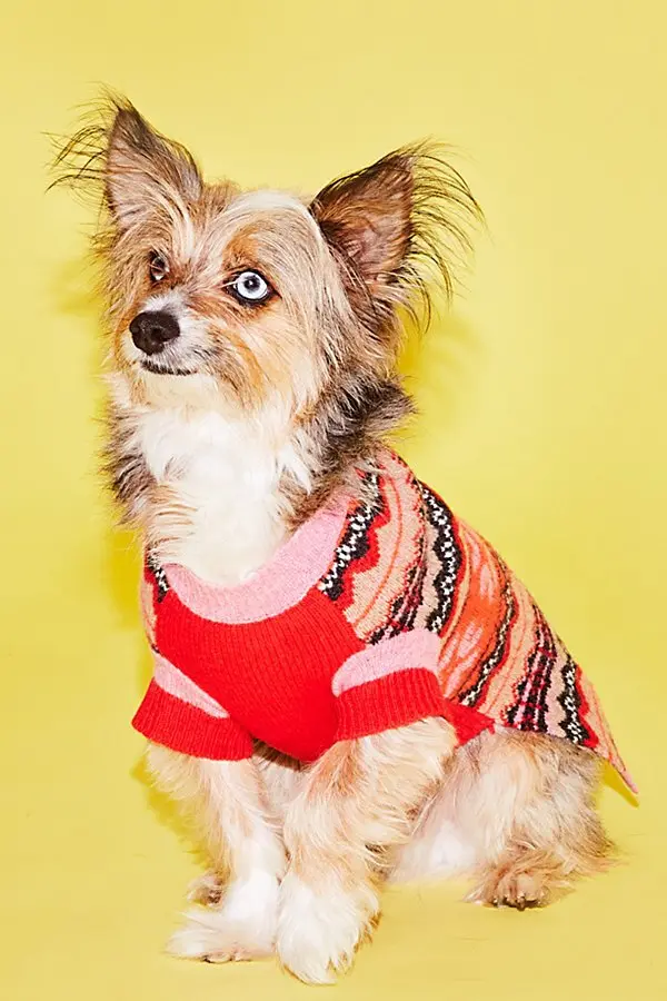 WARE OF THE DOG Fairisle Floral Sweater