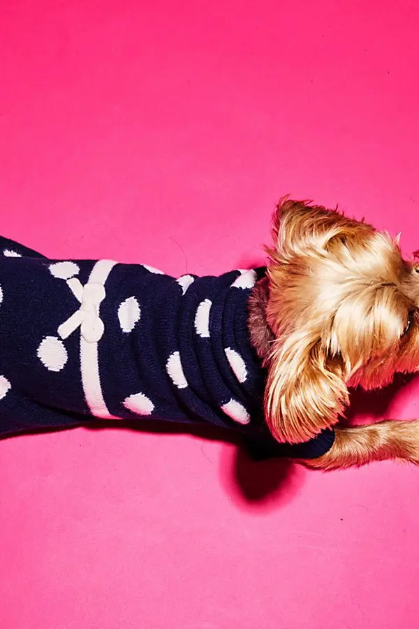 WARE OF THE DOG Dot Bow Sweater - Navy