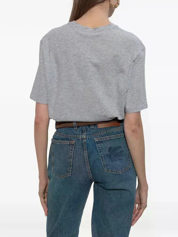 Etro Printed T-shirt - Grey