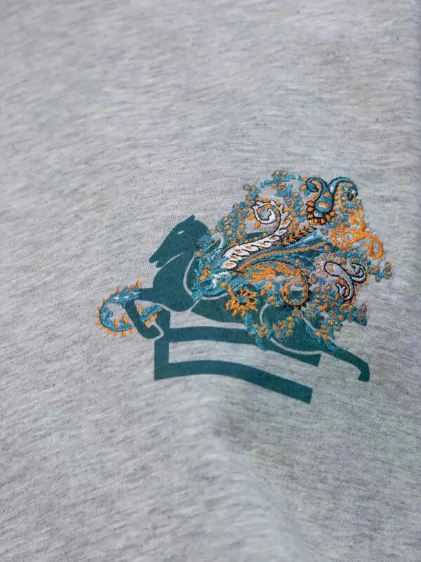 Etro Printed T-shirt - Grey