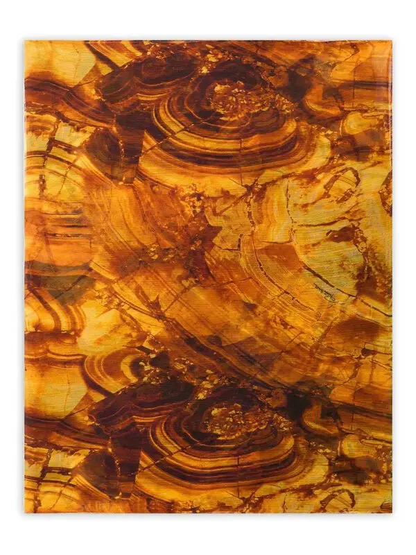 Roberto Cavalli Abstract-print Scarf - Brown