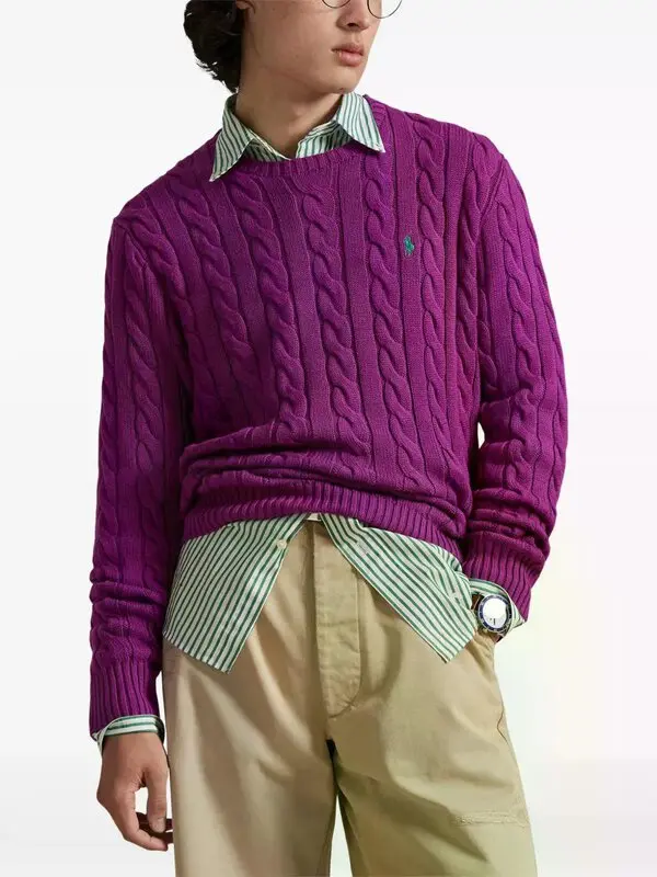 Polo Ralph Lauren Cable-knit Embroidered Sweater