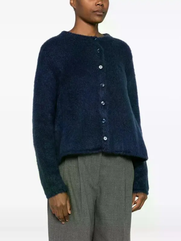 Loewe Buttoned Cardigan - Blue