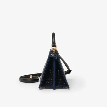 Fendi Peekaboo Iseeu Petite Bag