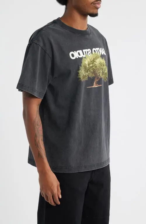 SANTO STUDIO Olive Tree Graphic T-shirt