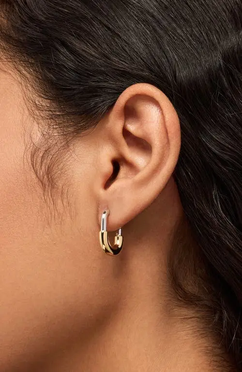 ANA LUISA Brynley Two Tone Hoop Earrings