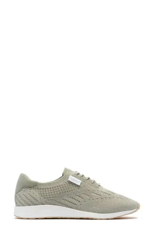 FRANKIE4 Dimity Ii Knit Sneaker - Pistachio Knit