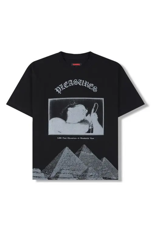 PLEASURES Elevation Heavyweight Cotton Graphic T-shirt