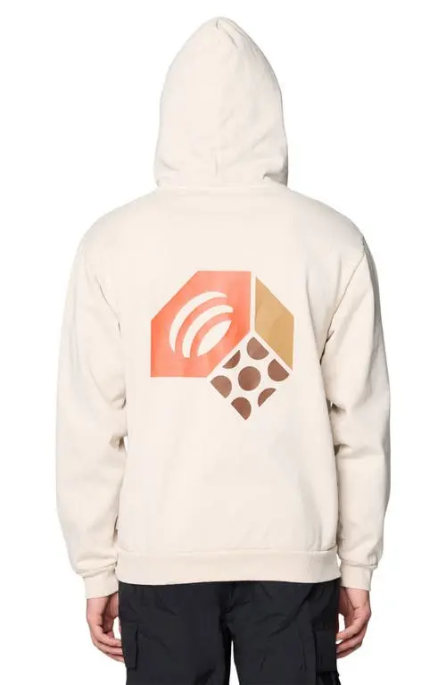 Mountain Hardwear Tricolor Logo Graphic Hoodie - Fossil