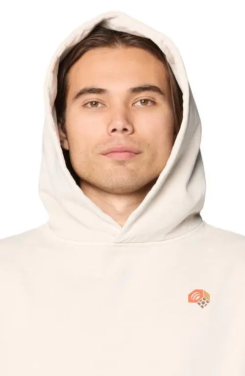 Mountain Hardwear Tricolor Logo Graphic Hoodie - Fossil