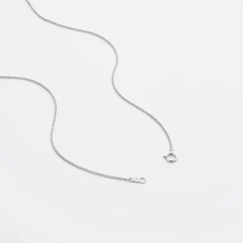 7879 Box Chain Necklace - Platinum