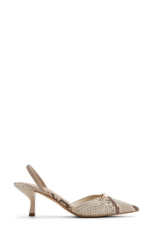 Aldo Lianya Slingback Pointed Toe Pump