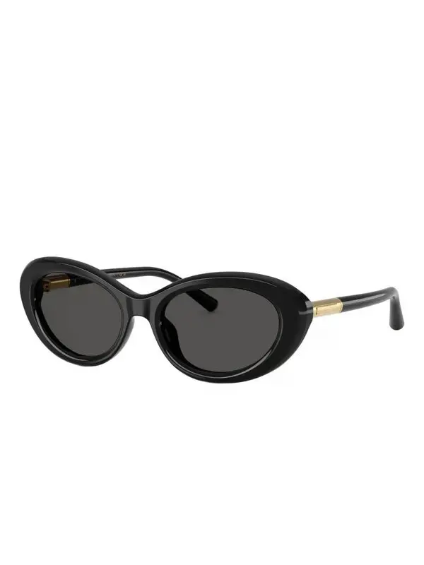Dolce & Gabbana Oval-frame Sunglasses - Black