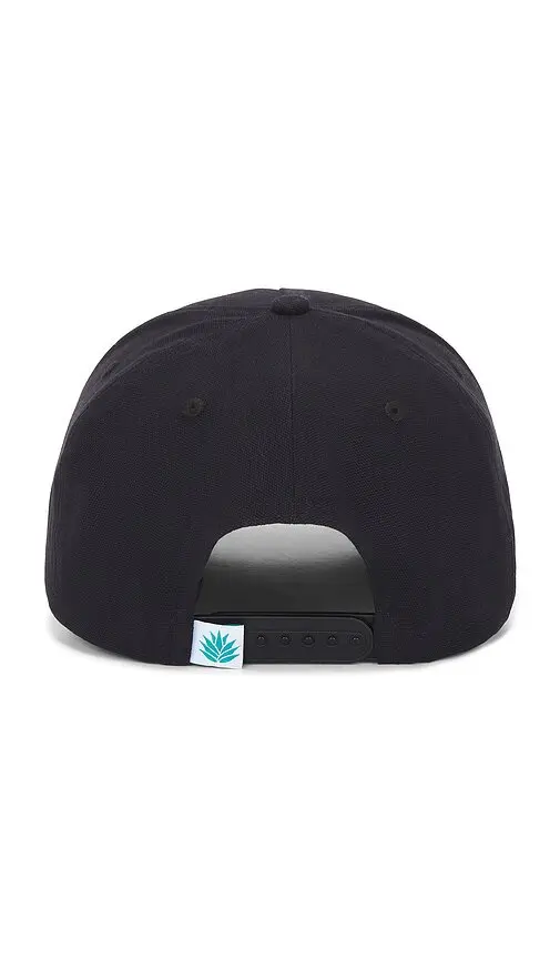 SENDERO PROVISIONS CO. Never Was A Horse Cap