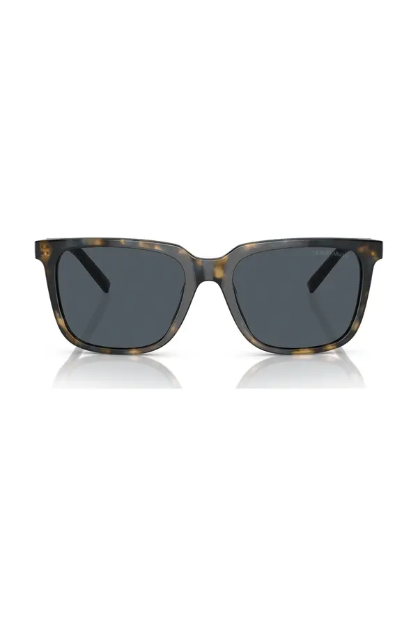 Giorgio Armani Ar8202u Sunglasses