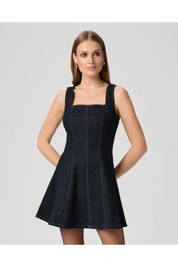 Paige Perla Mini Fit & Flare Dress