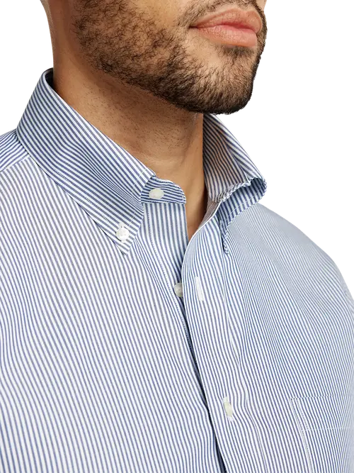PAUL FREDRICK Tailored Fit Non-iron Cotton Pinpoint Solid Button Down Collar Dress Shirt - Blue Stripe