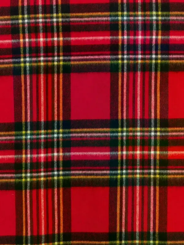 Barbour Pattern Fringed Scarf