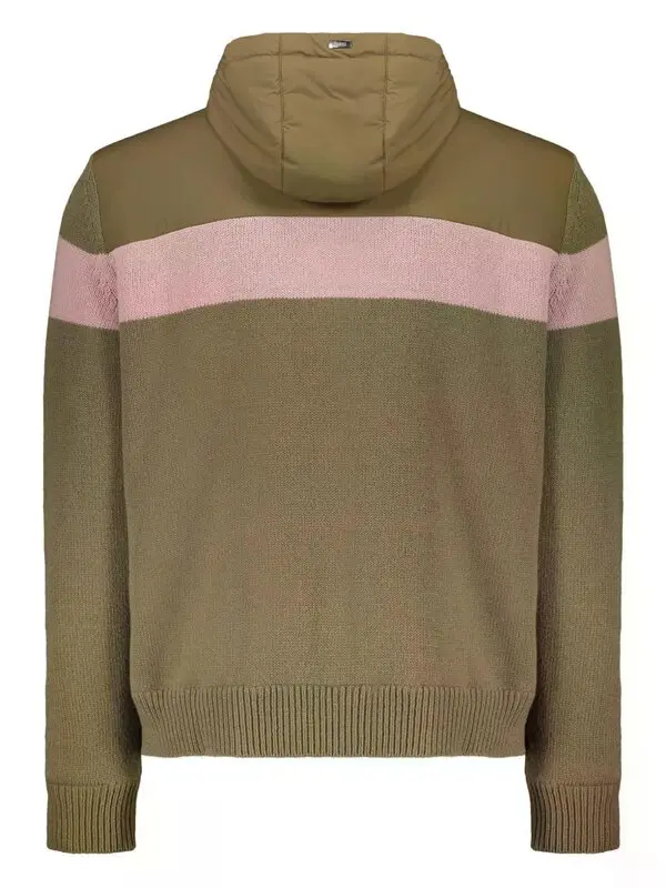 Herno Striped Zip Hoodie