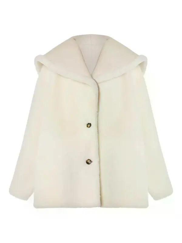 Alberta Ferretti Reversible Button-fastening Coat