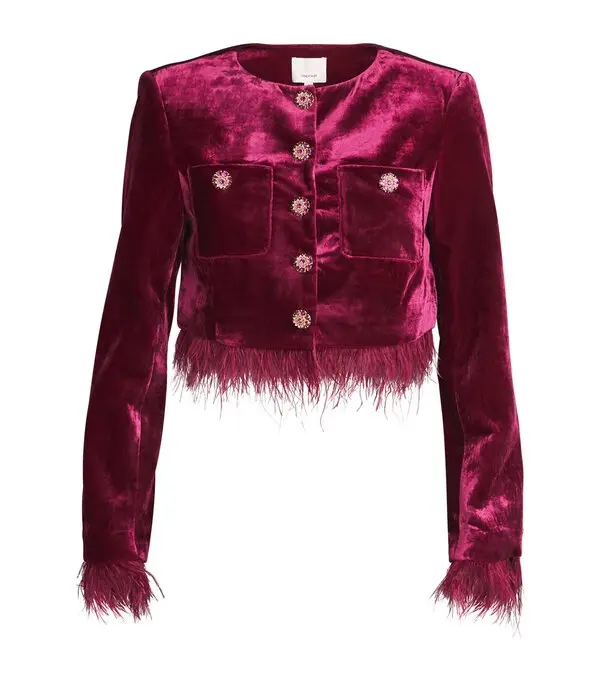 Cinq À Sept Velvet Evelina Feather-trimmed Jacket