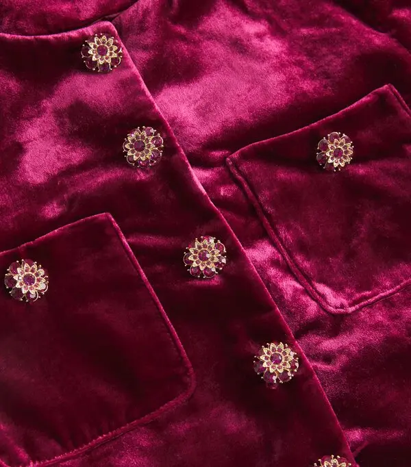 Cinq À Sept Velvet Evelina Feather-trimmed Jacket