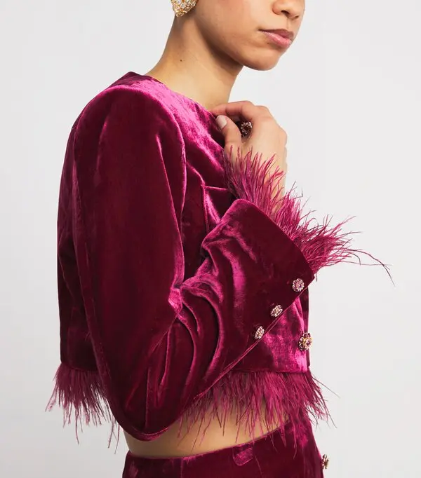 Cinq À Sept Velvet Evelina Feather-trimmed Jacket