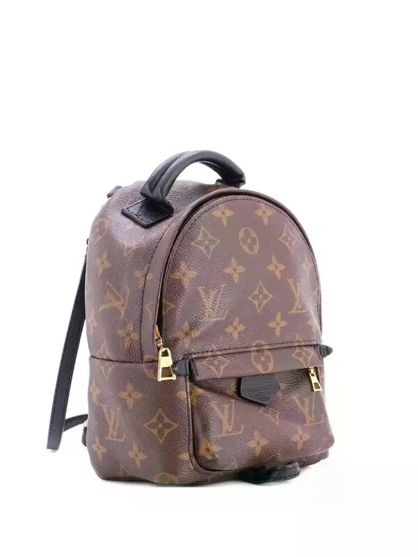 LOUIS VUITTON Palm Springs Monogram Canvas Mini Backpack